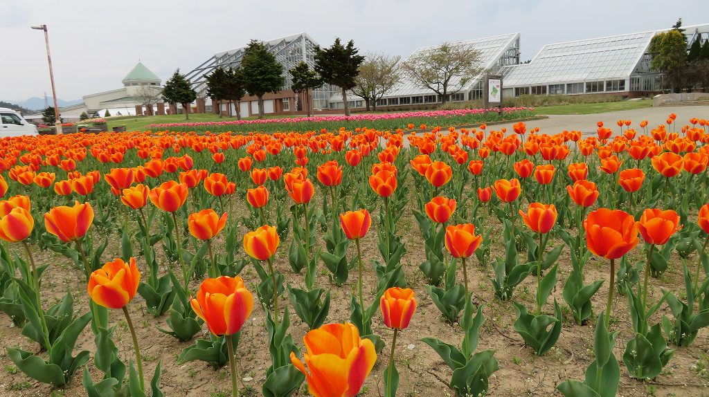 花と緑のユートピア「ブルーメッセあきた」道の駅しょうわ | つか坊の自由研究